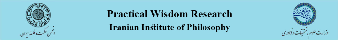 Practical Wisdom Studies